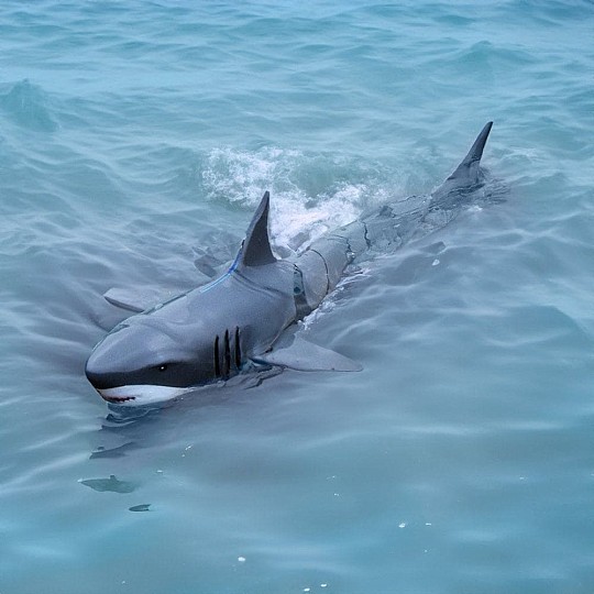 Mini tiburón teledirigido para jugar en el agua