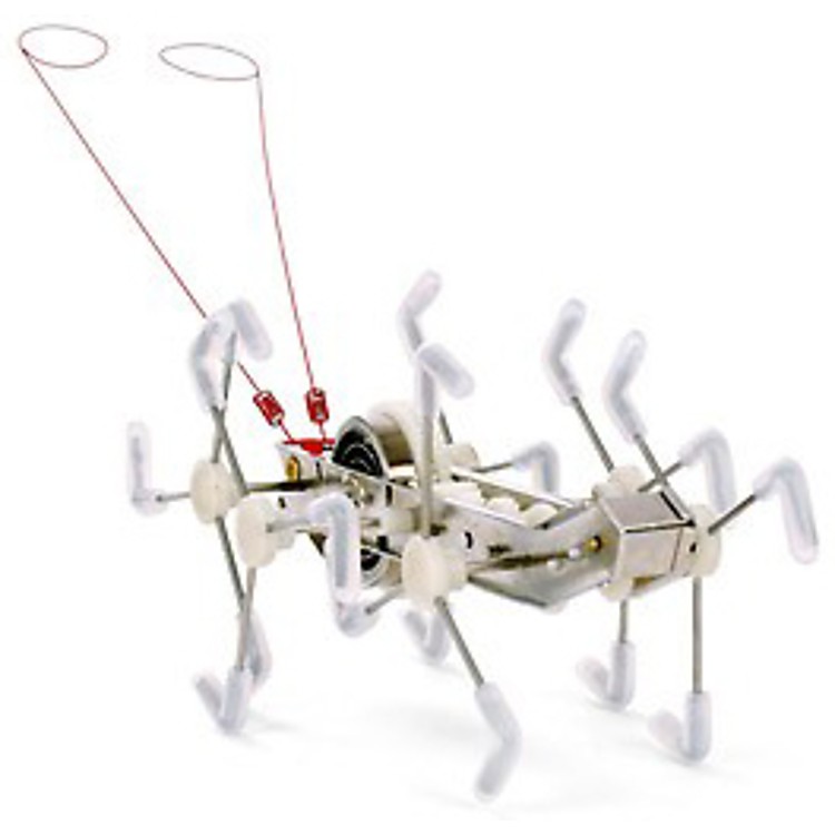 Robot de Cuerda Insecto Mxy Kikker