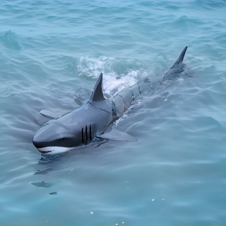 Mini tiburón teledirigido para jugar en el agua